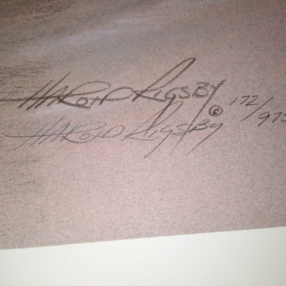 Harold Rigsby | Wall Decor | Canadian Goose By Harold Rigsby 72975 ...